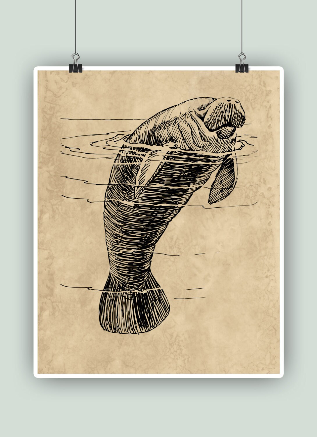 Manatee Art Print, Wildlife Art, Manatee Poster, Manatee Print Rustic ...