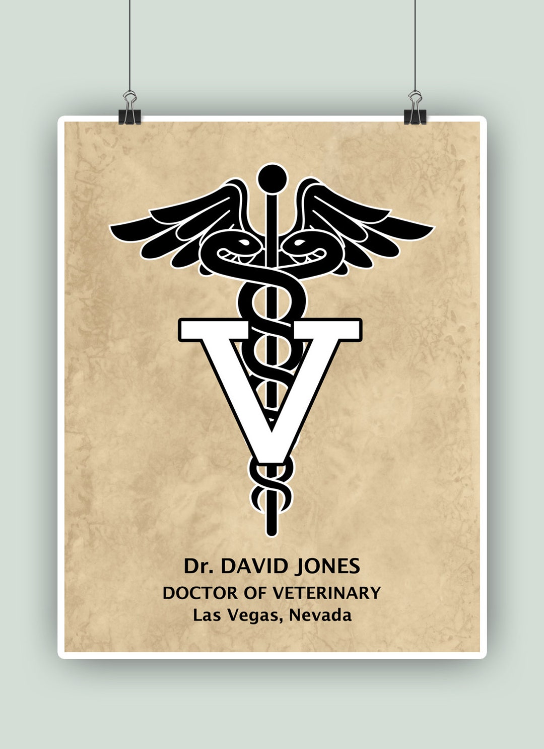 Doctor of Veterinary Art, PERSONALIZED Veterinarian Print, Veterinary ...