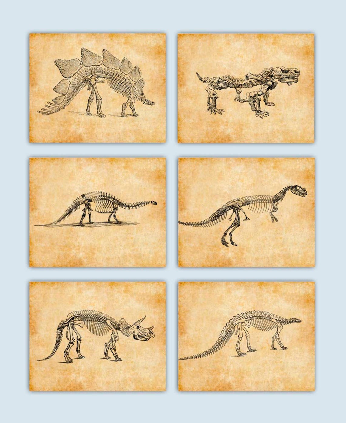 Dinosaur Art Dinosaur Print Dinosaur Art Dinosaur Decor | Etsy