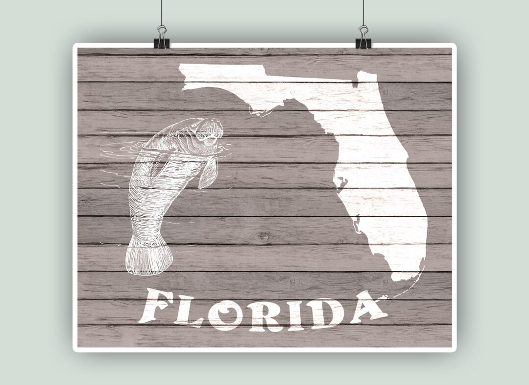 Florida State Art, Florida Map and Manatee on Brown Faux Wood ...