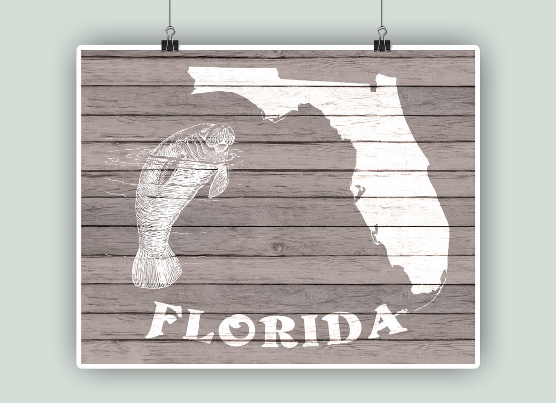 Florida State Art, Florida Map and Manatee on Brown Faux Wood ...