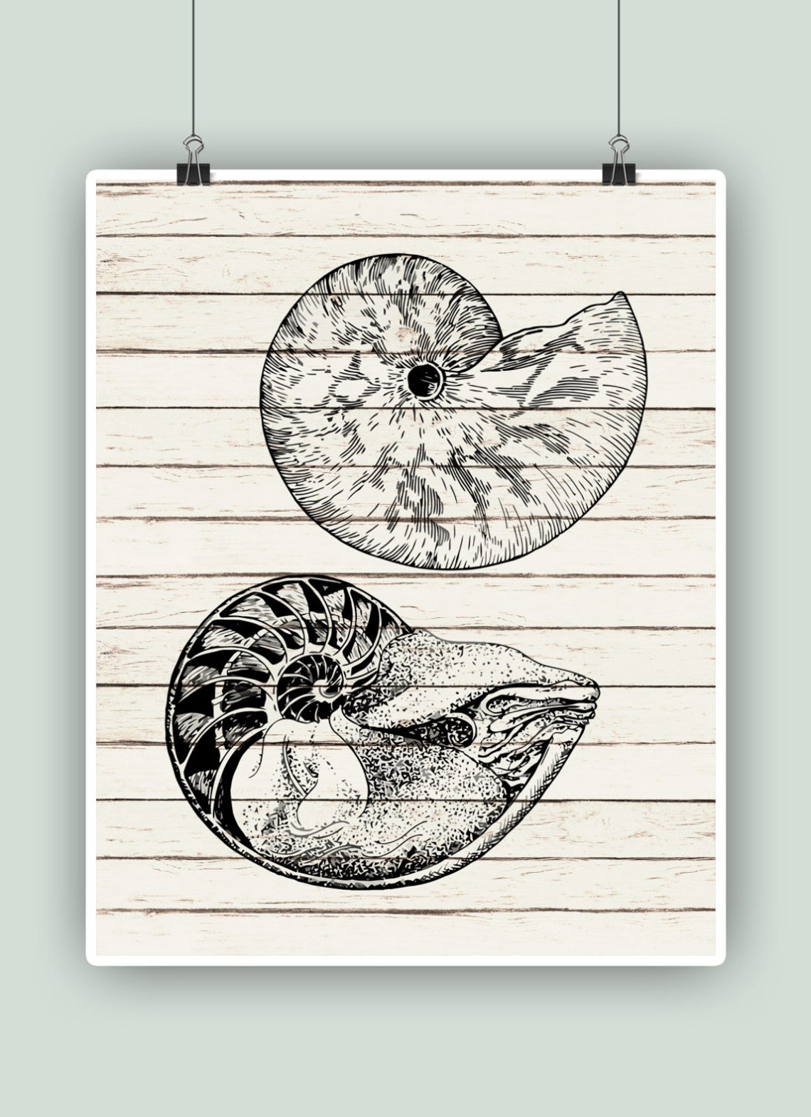 Nautilus Shell Art, Seashell Print, Coastal Decor, Nautical Wall Art ...