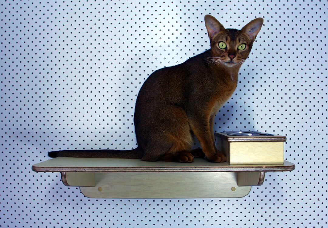 Cat Platform SNACK STATION original - Etsy