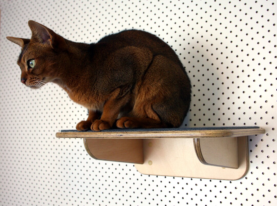 Cat Platform Midioriginal - Etsy Australia