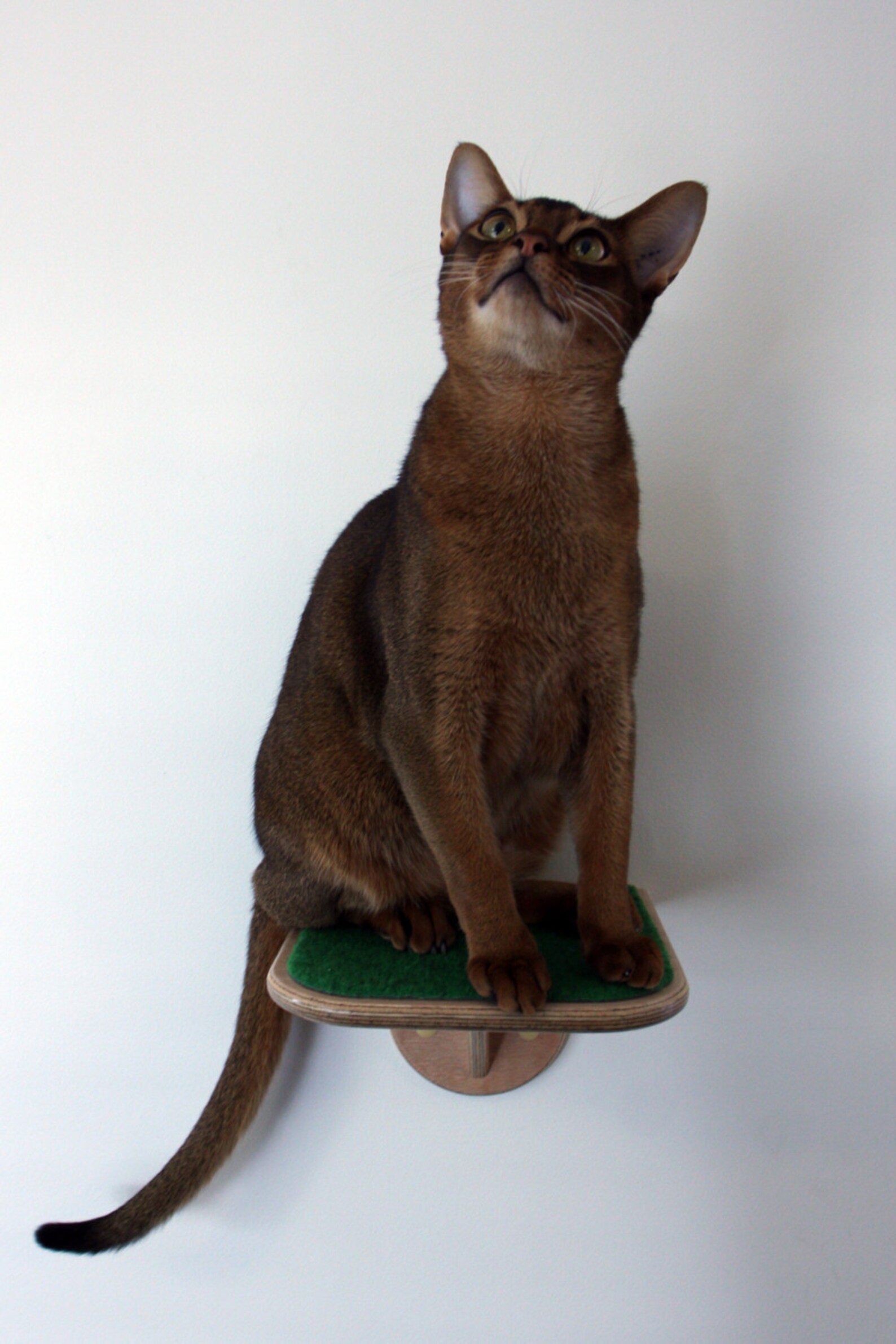 Cat Platform PERCH original - Etsy