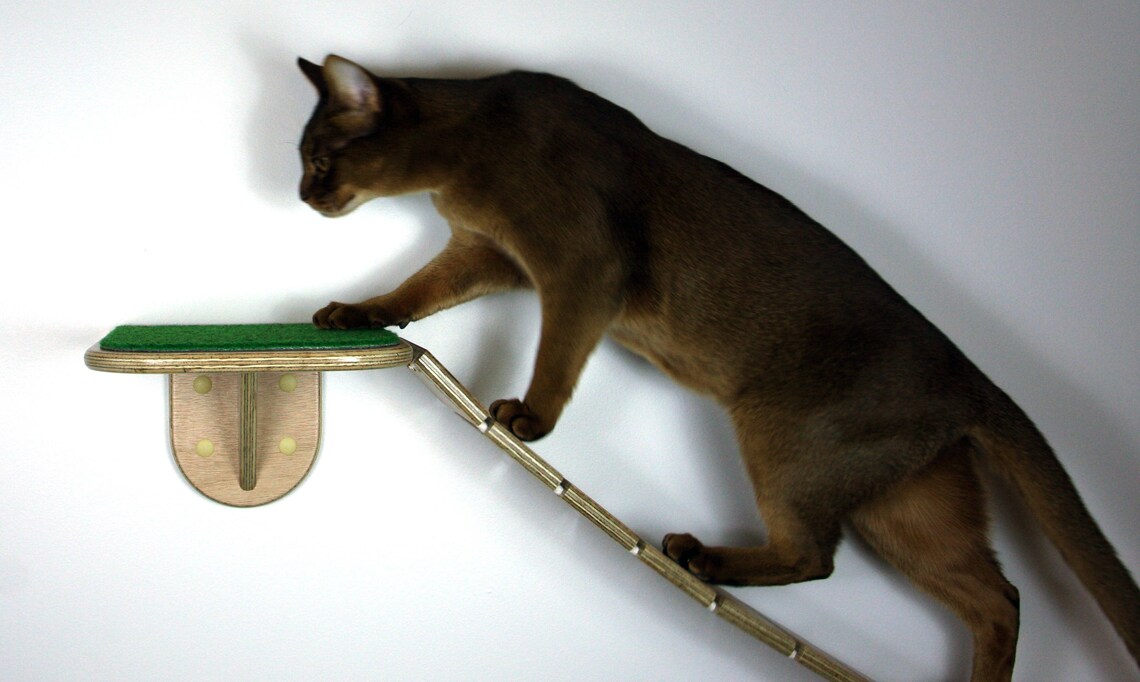 Cat Platform SWING BRIDGE original - Etsy