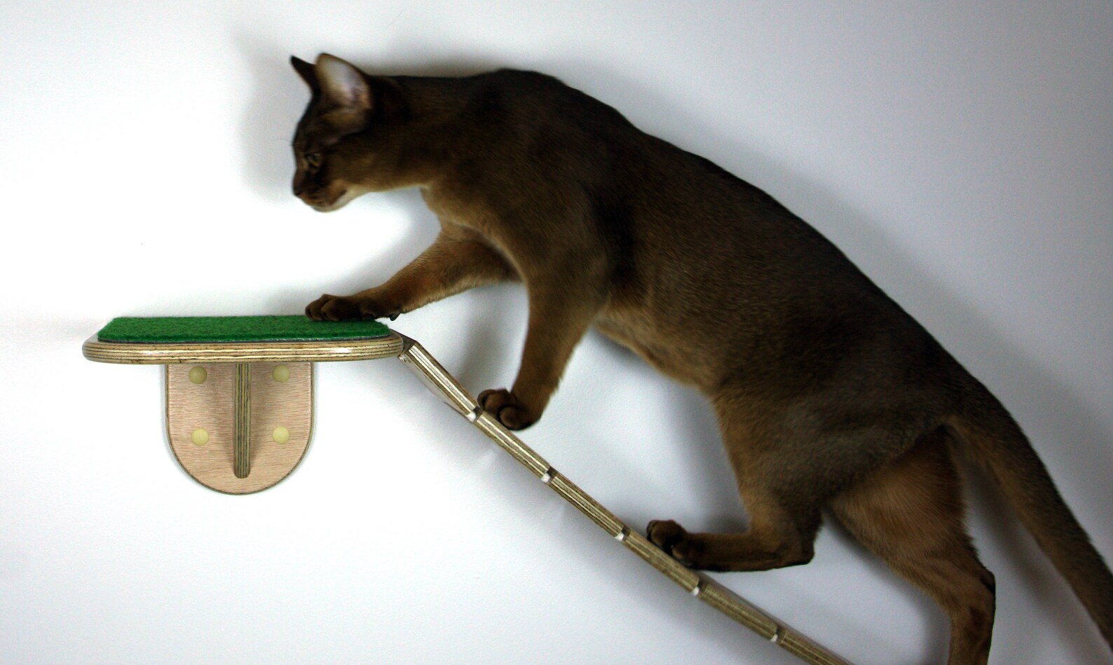 Cat Platform SWING BRIDGE original - Etsy