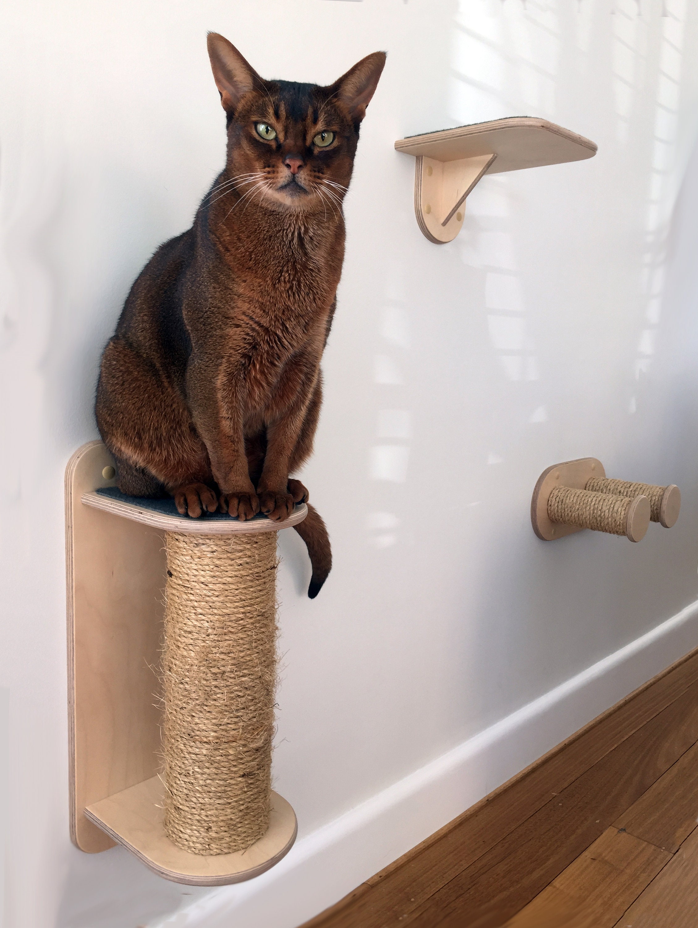 Cat Platform SCRATCH PERCH original | Etsy