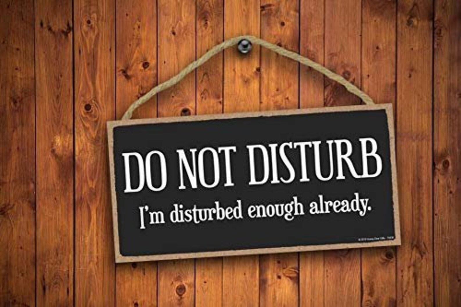 Door Sign Do Not Disturb I'm Disturbed Enough Already 5 - Etsy UK