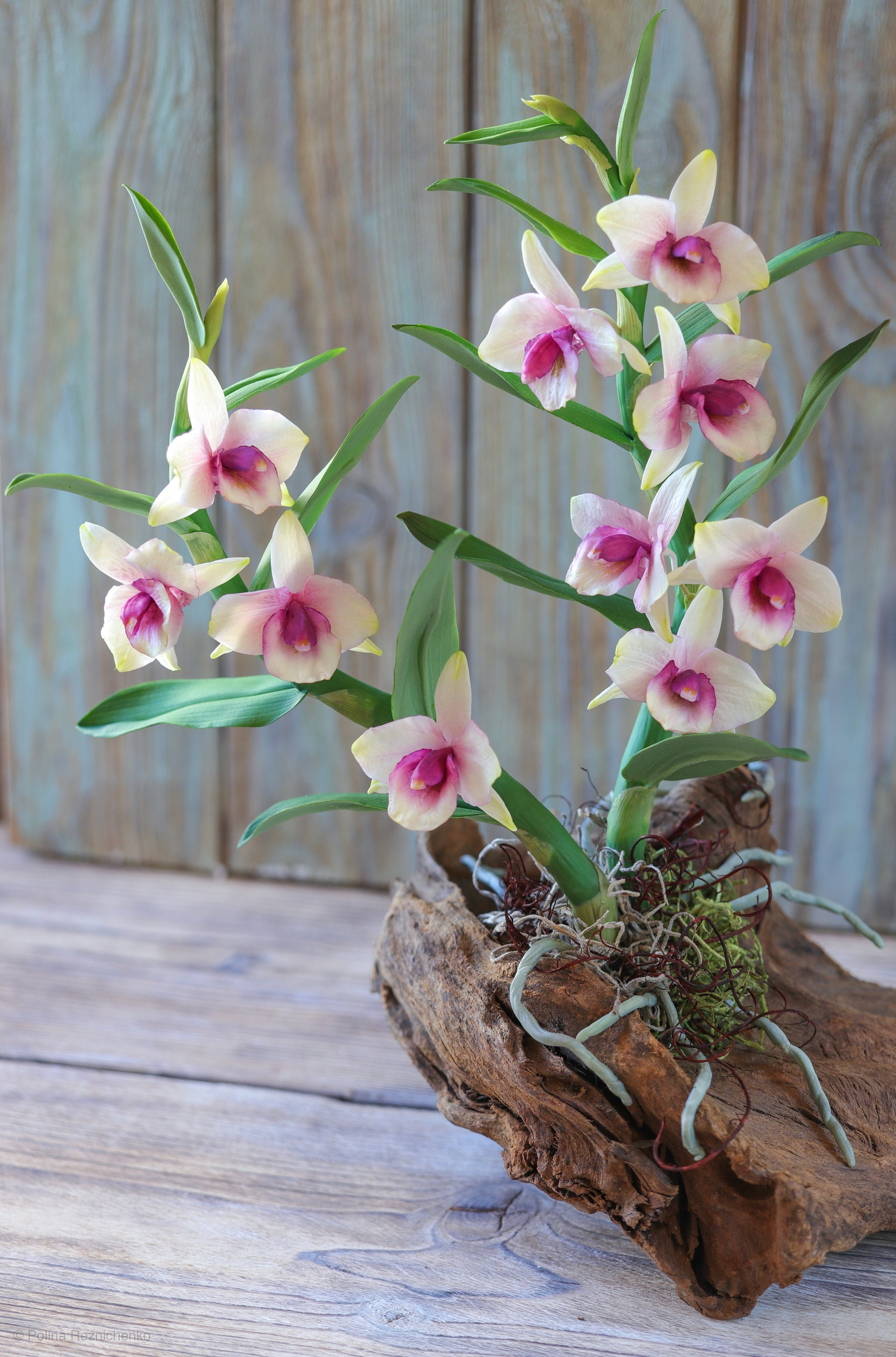 Dendrobium Nobile Orchid Made From Japanese Air-dry Polymer Clay. - Etsy