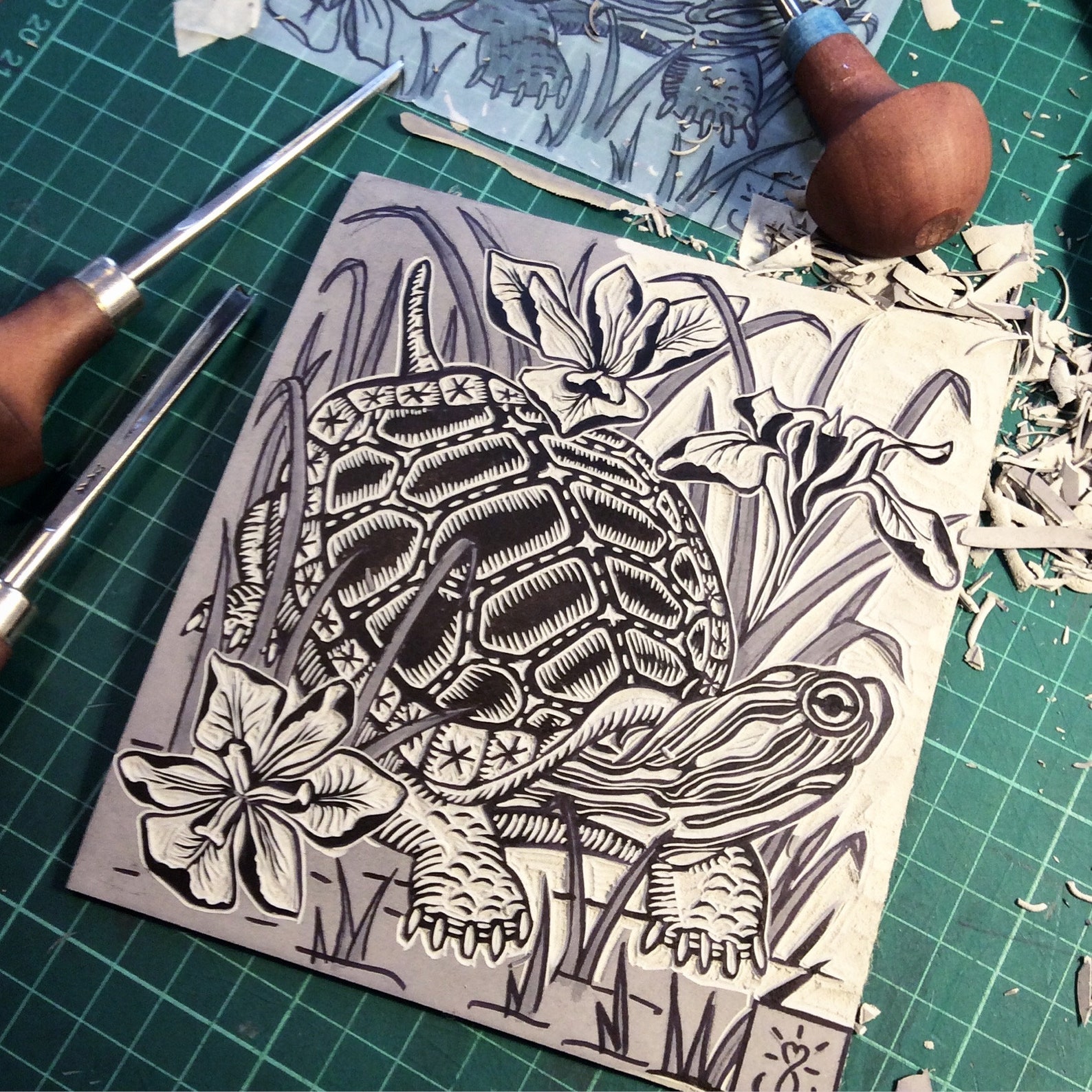 Original Linoprint turtle in Limited Edition - Etsy