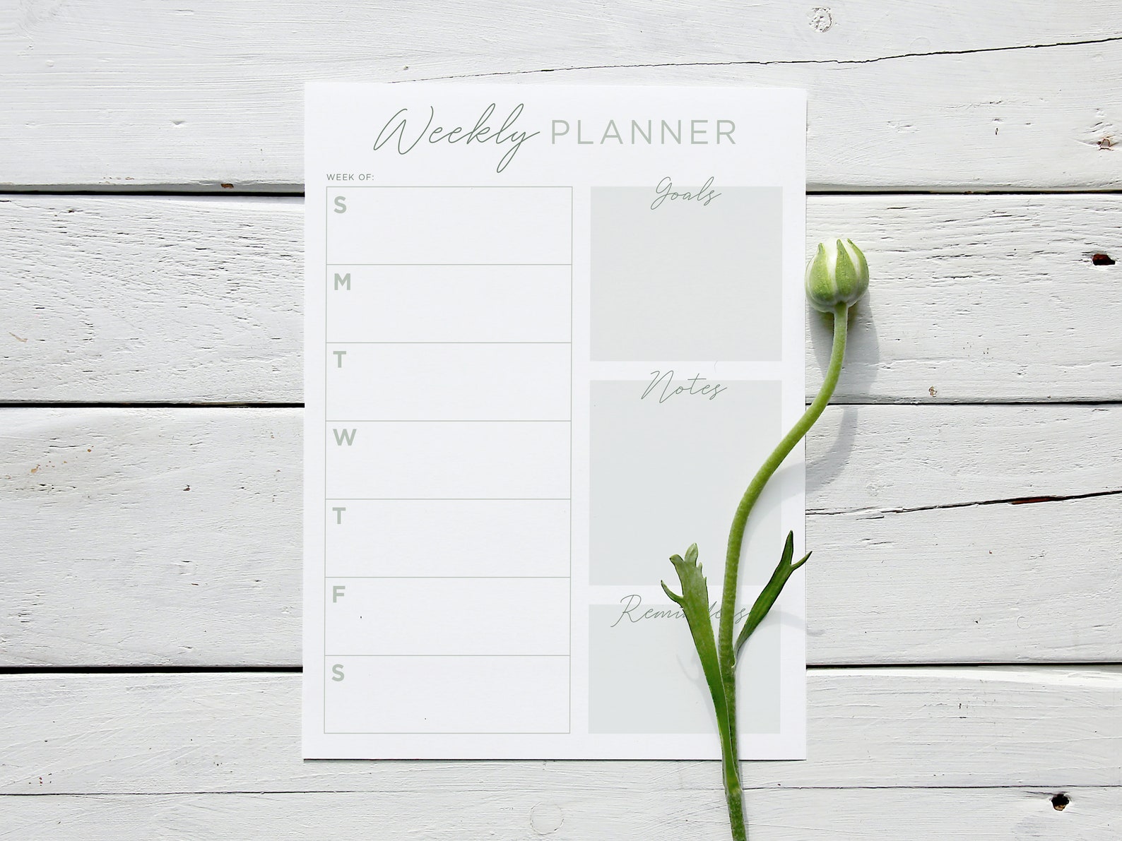 Weekly Planner Printable, 8.5x11, Planner Page Insert, Daily To-do List ...
