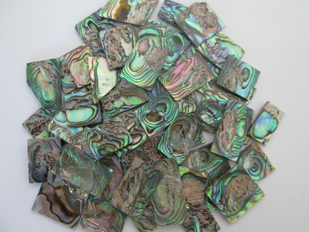 2 Oz Green Paua Abalone Shell DEFECT Blanks, Inlay Material. 35-40 ...