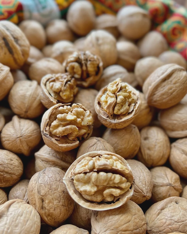 Fresh / Natural Walnuts - Etsy