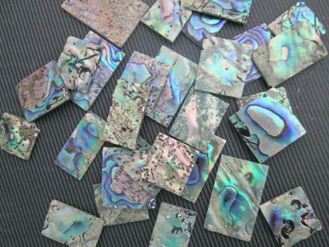 2 Oz Green Paua Abalone Shell Blanks Inlay Material Premium. - Etsy