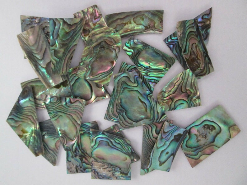 1oz Green Paua Abalone Shell Blanks,.060" Thickness.13-18 Inlay ...