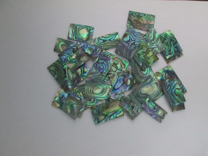 Green Paua Abalone Shell Inlay Blanks: Mosaic Art Supplies - Etsy