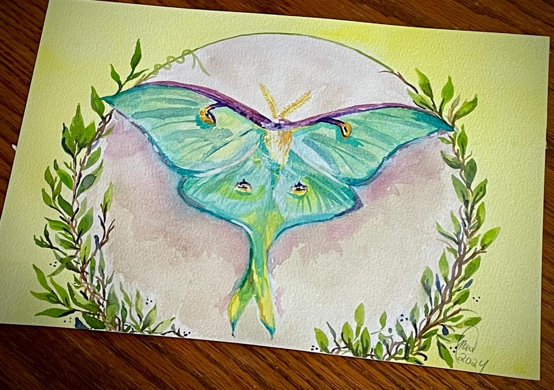 Luna Moth Watercolor Painting, Original Artwork, 10X7 Inch Unframed ...