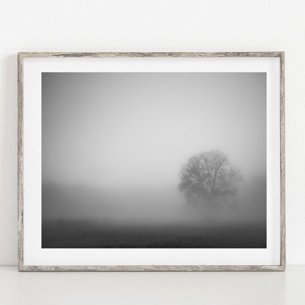 Fog Landscape - Etsy