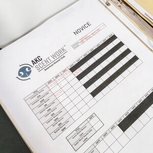 AKC Scent Work EXCELLENT Title Progression Tracking Sheet - Digital ...