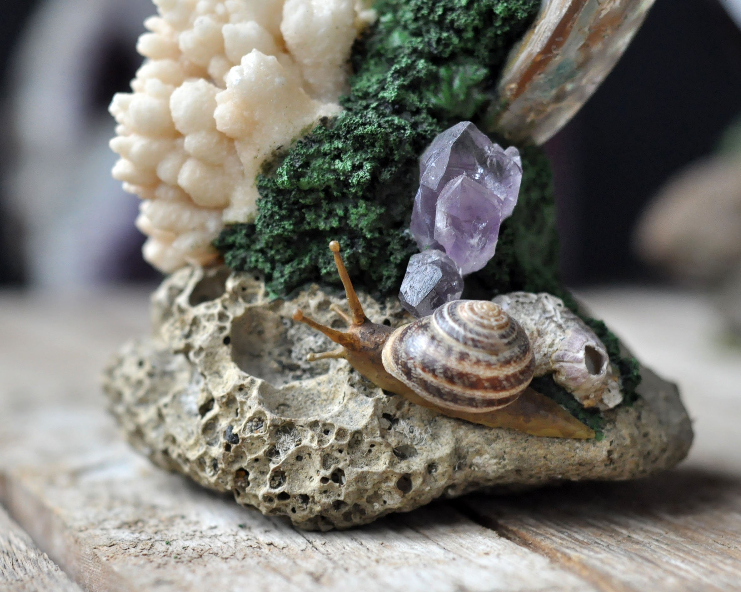 Decorative Abalone Shell Art Object Decorative Realistic | Etsy