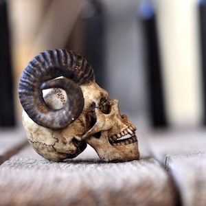 DECORATIVE Realistic Skull, Horned Vampire Human Skull, Miniature Skull ...