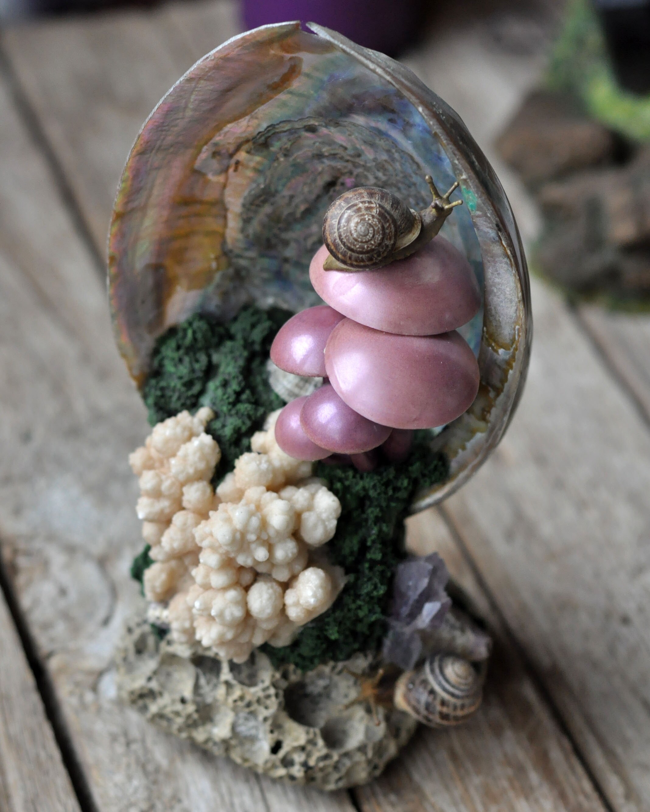 Decorative Abalone Shell Art Object Decorative Realistic | Etsy