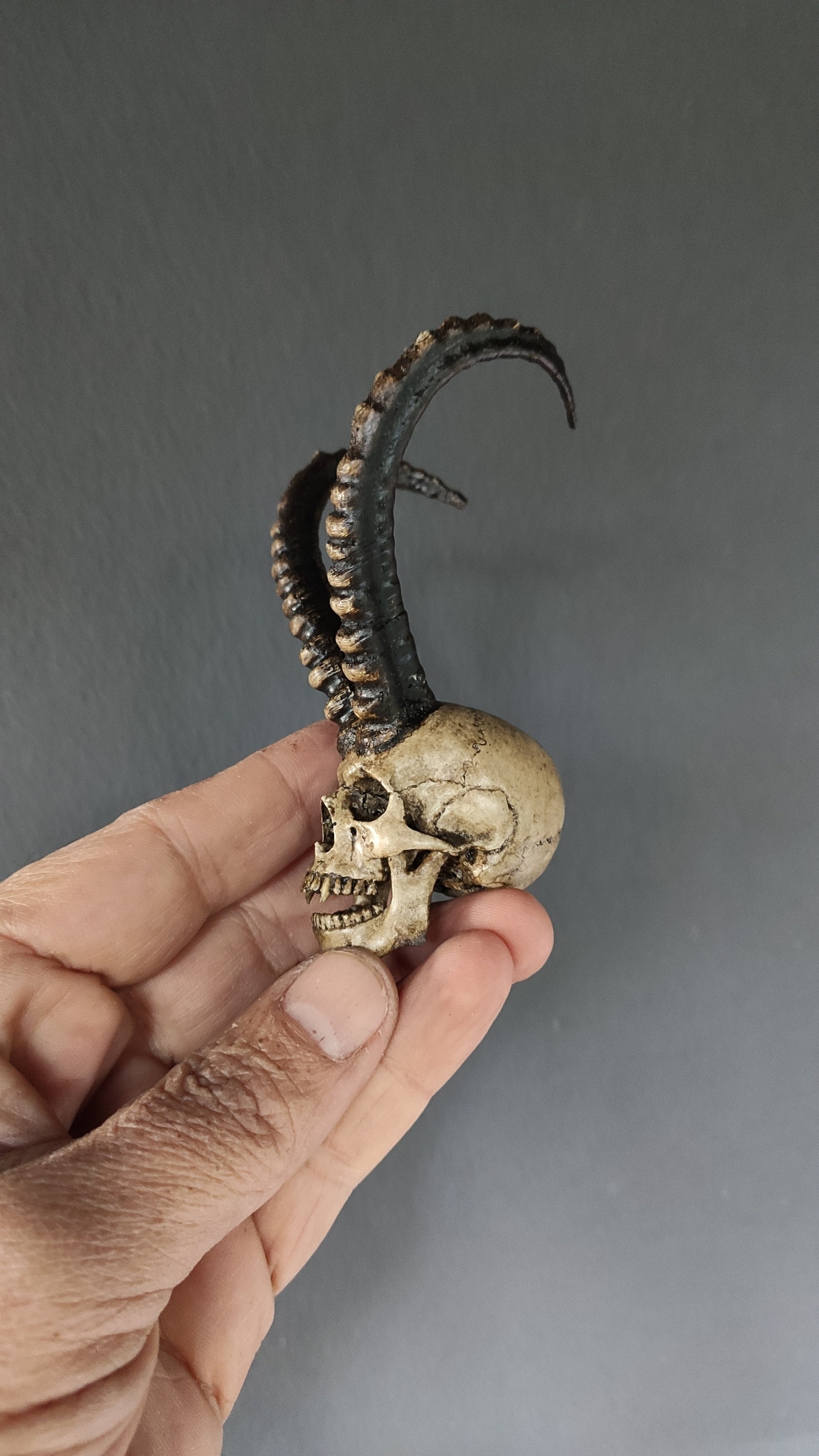 High Detailed Realistic Capricorn Horned Vampire Goat Horned - Etsy Canada