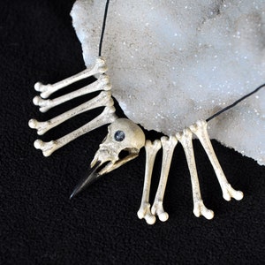 Realistic Raven Skull Choker Necklace, Crow Skull Bones Necklace ...