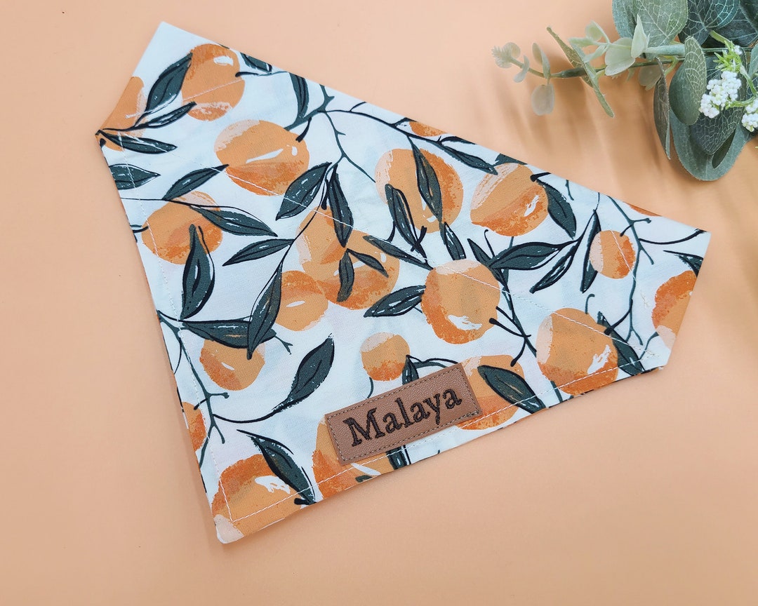Personalized Peach Dog Bandana // Over the Collar // Spring Cat Bandana ...