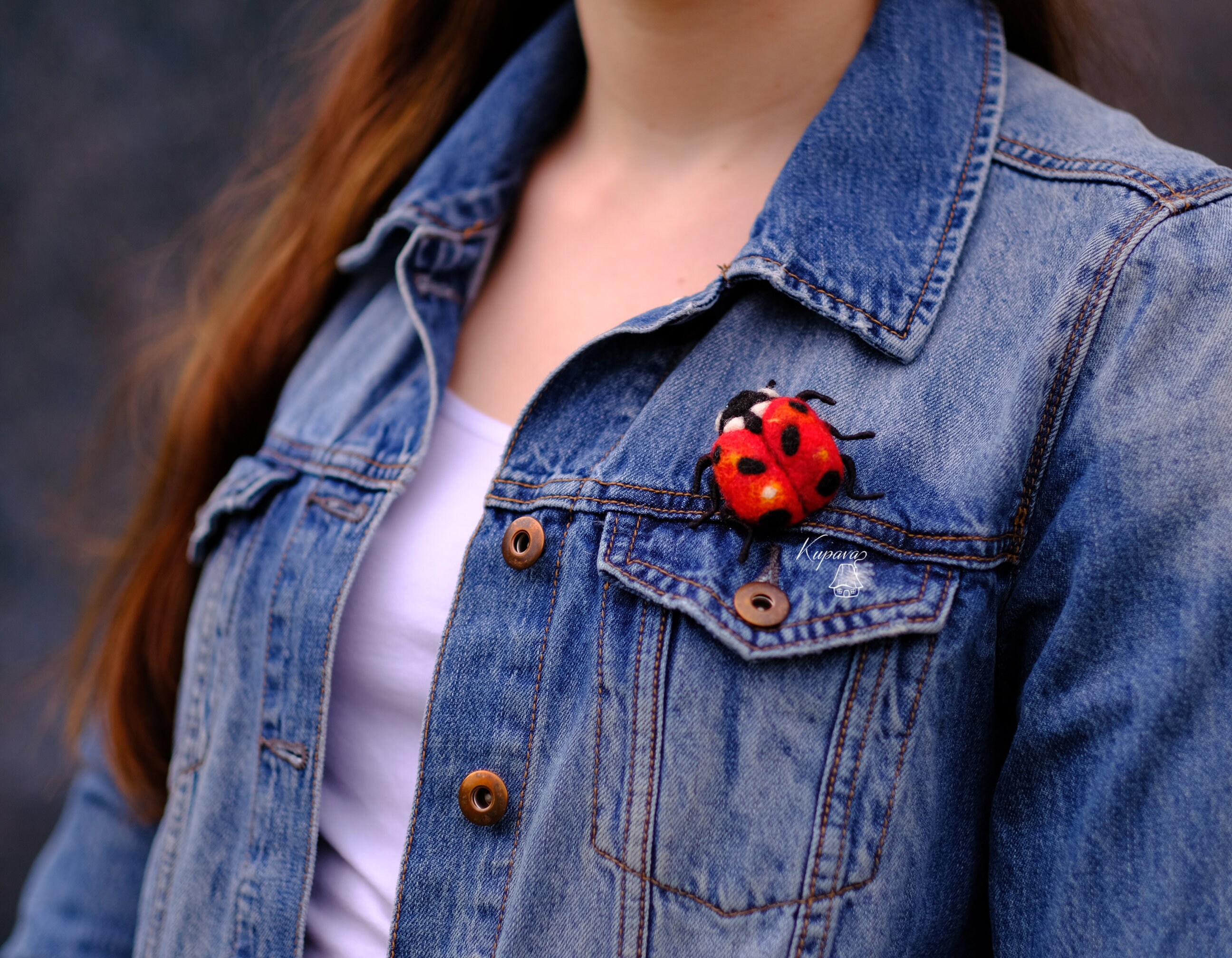 Fun Ladybug Brooch, Insect Felted Pin, Ladybird Accessory, Red Bug Wool ...