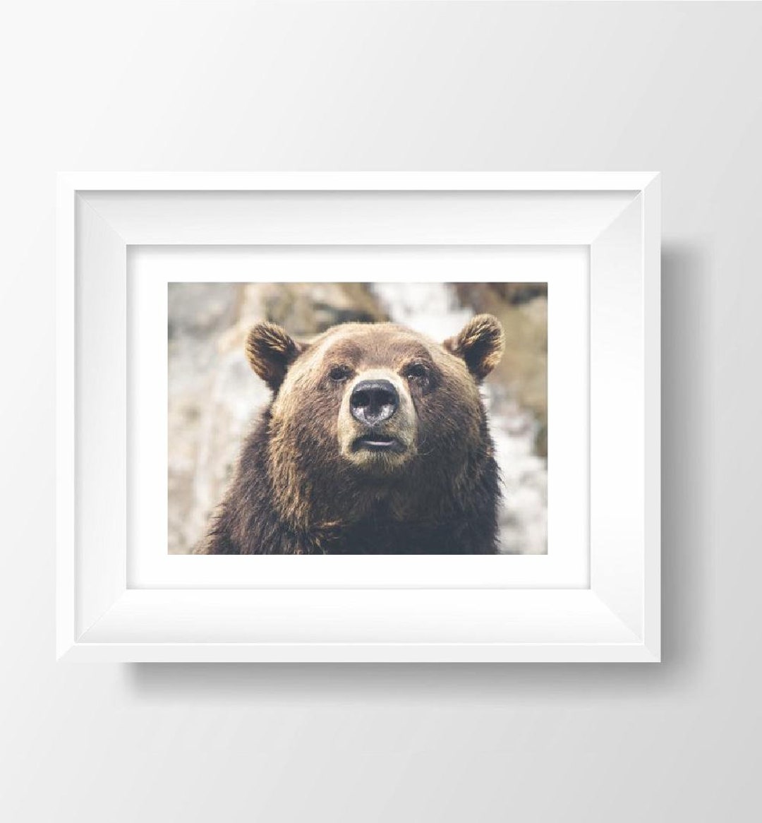 Brown Bear Wall Art Digital Print Poster Photo Photograph Instant ...