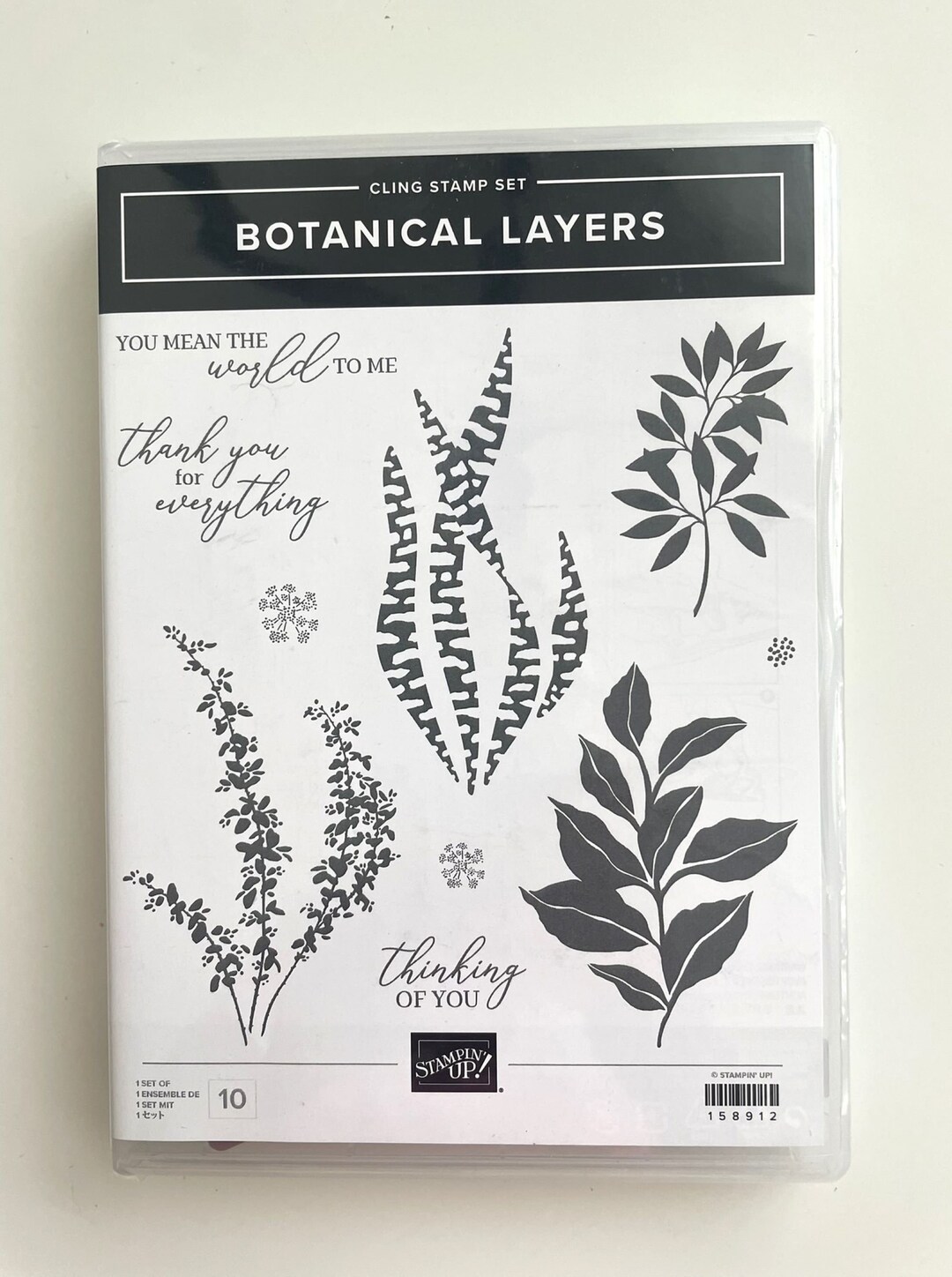Botanical Layers Stamp Set by Stampin' Up! - Etsy