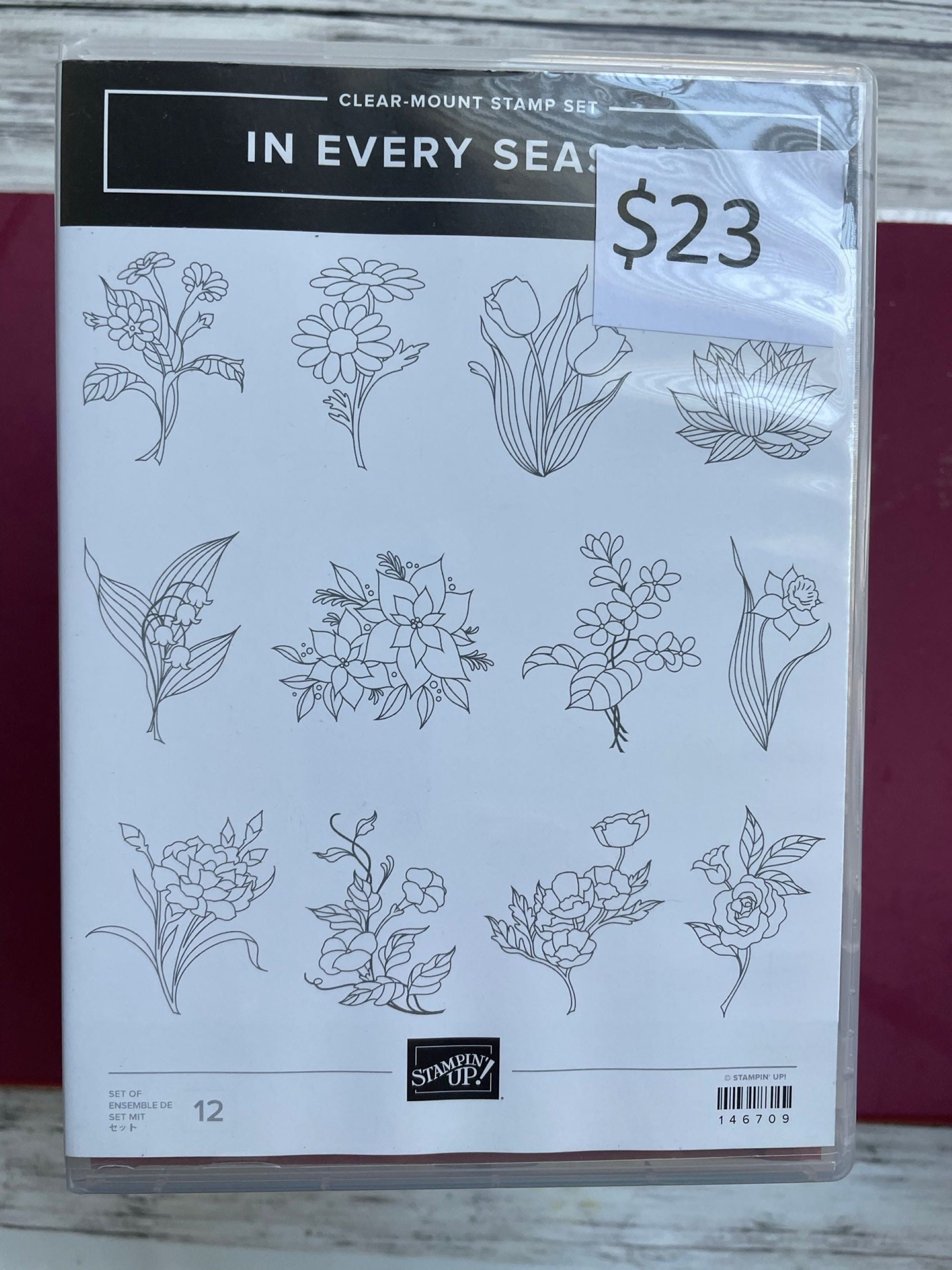 In Every Season Stamp Set by Stampin' Up - Etsy