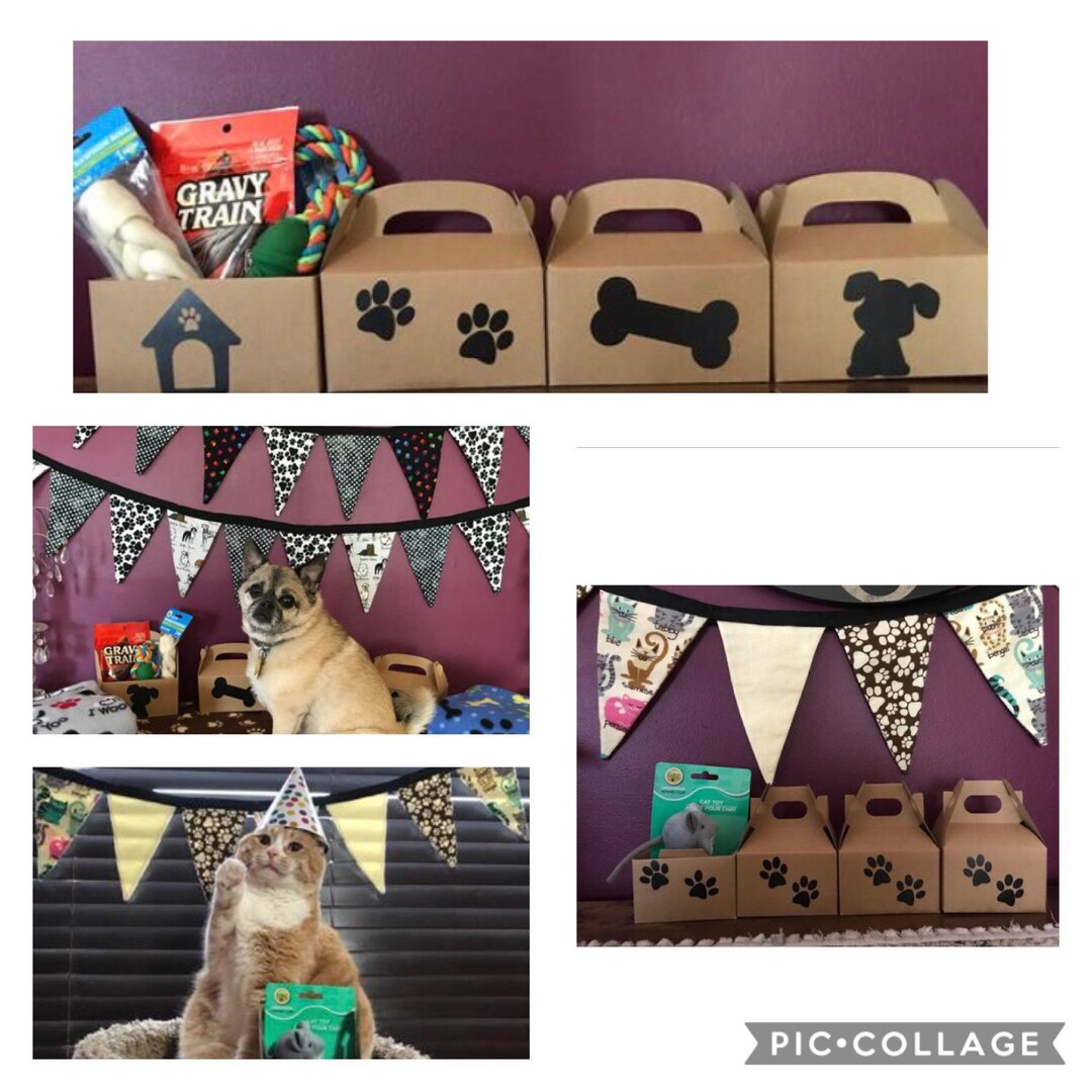 Dog/cat Party Supplies, Dog Party, Cat Party, Pet Goodie Boxes, Pet ...