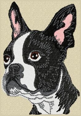 Boston Terrier Embroidery Machine Design Bull Dog Canine - Etsy