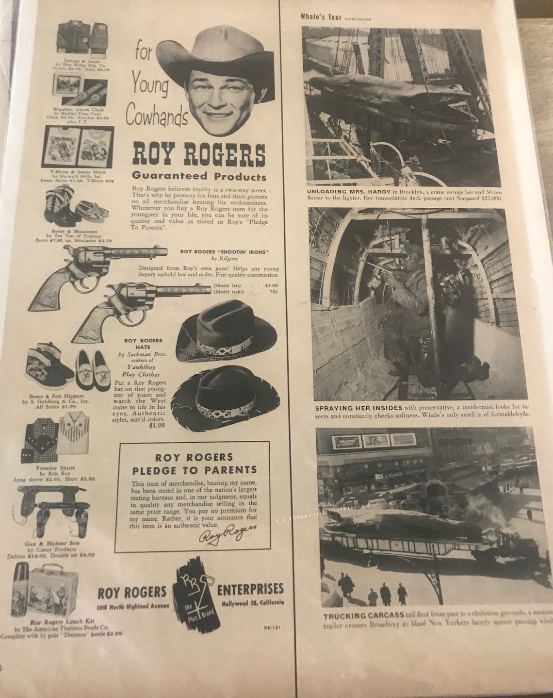 Vintage Roy Rogers Life Magazine Two Laminated Pages Roy - Etsy