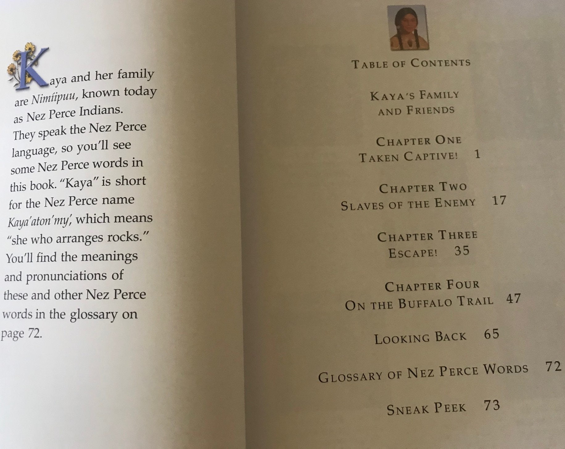 Vintage American Girl Books Meet Kaya Kirsten's - Etsy