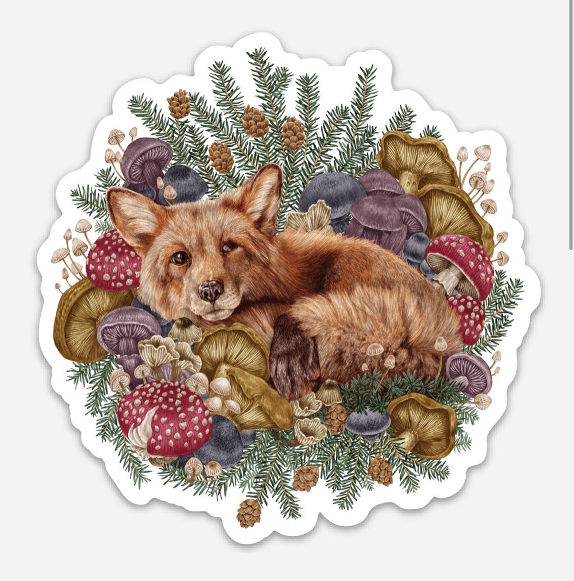 Fig the Fox Weatherproof Sticker - Etsy