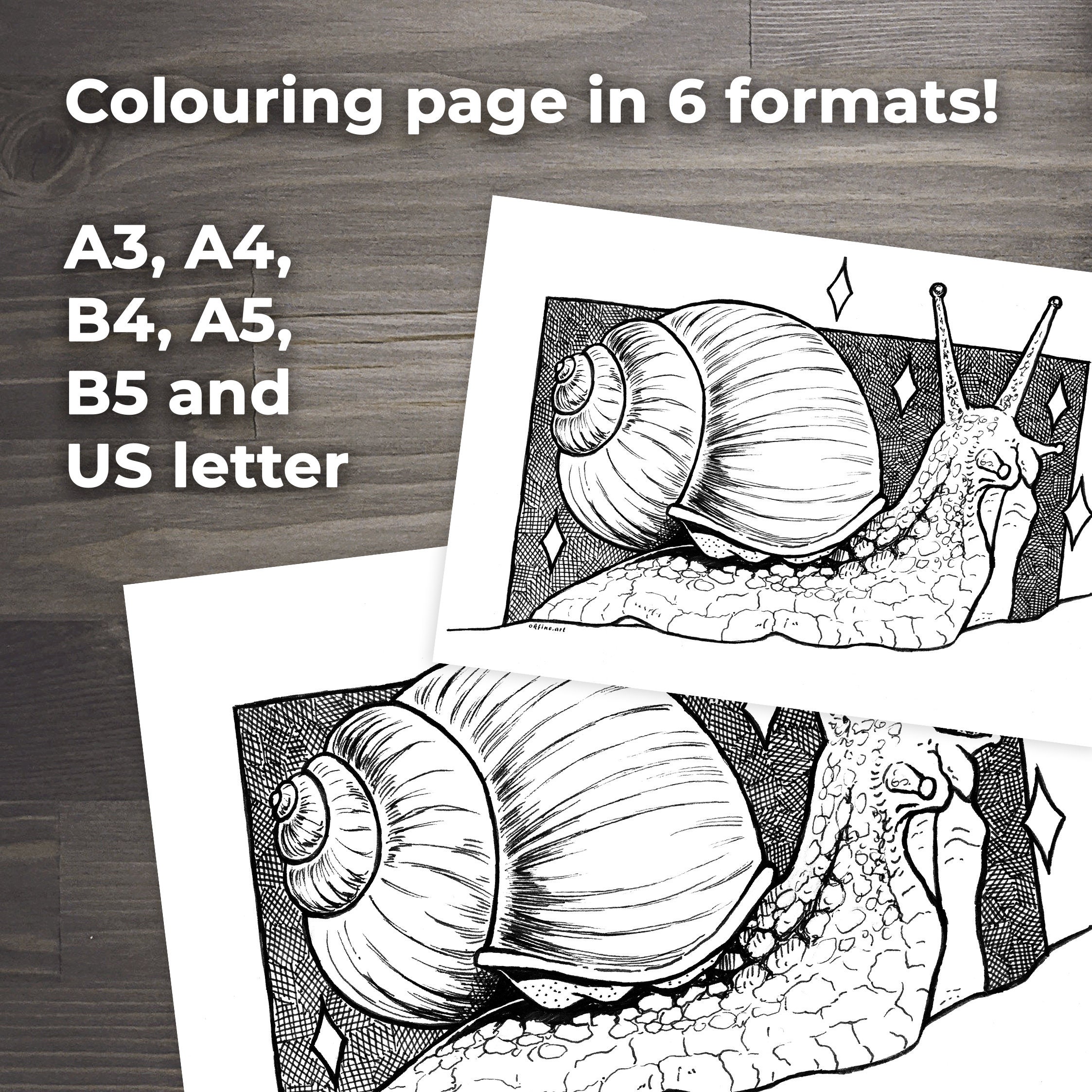 Snail Colouring Page, Printable Colouring Page, Coloring Page A3, A4 ...