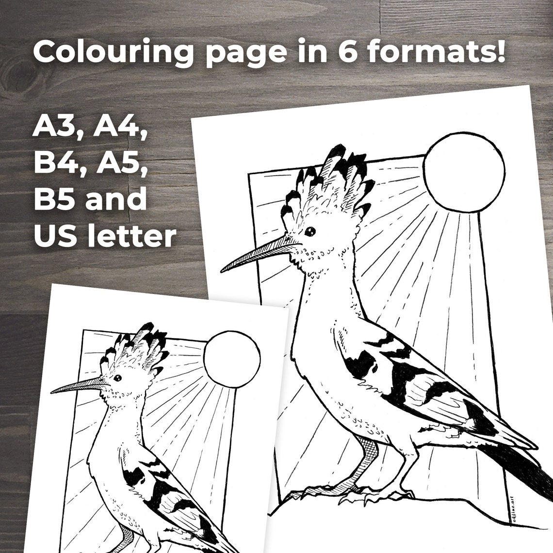 Disegno di Upupa da colorare, Disegni da colorare stampabili, Disegno ...