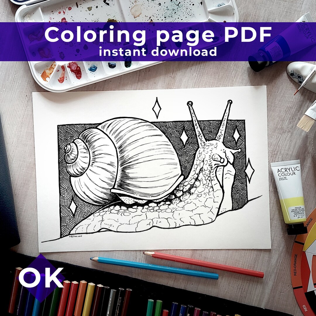 Snail Colouring Page, Printable Colouring Page, Coloring Page A3, A4 ...