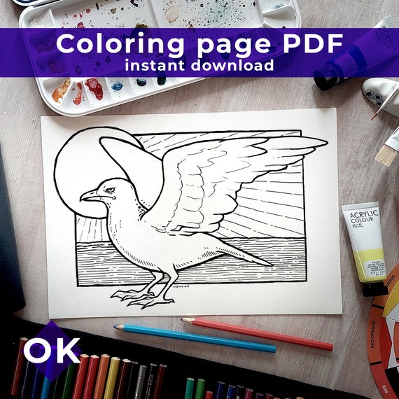 Grumpy Seagull Colouring Page Printable Colouring Page - Etsy