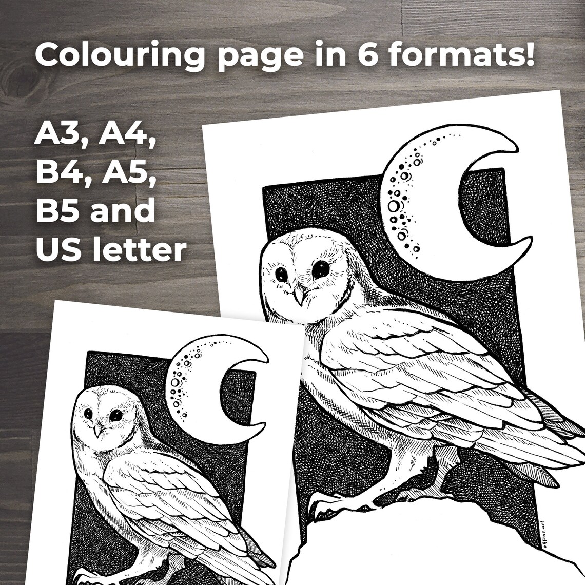 Barn Owl Colouring Page, Printable Colouring Page, Coloring Page A3, A4 ...