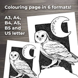 Kerkuil kleurplaat, Printbare kleurplaat, kleurplaat A3, A4, A5, B4, B5 ...