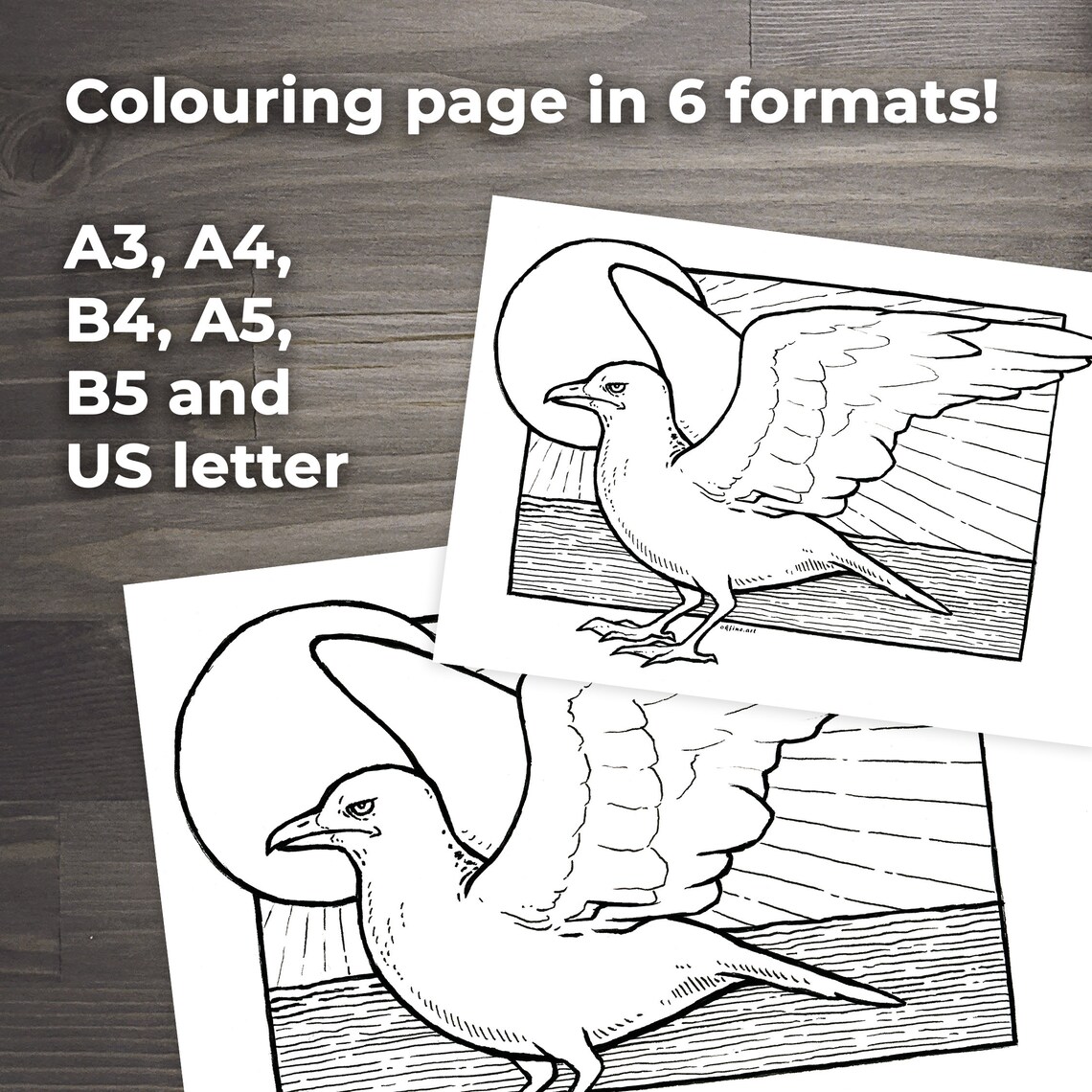 Grumpy Seagull Colouring Page, Printable Colouring Page, Coloring Page ...