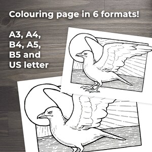 Grumpy Seagull Colouring Page, Printable Colouring Page, Coloring Page ...
