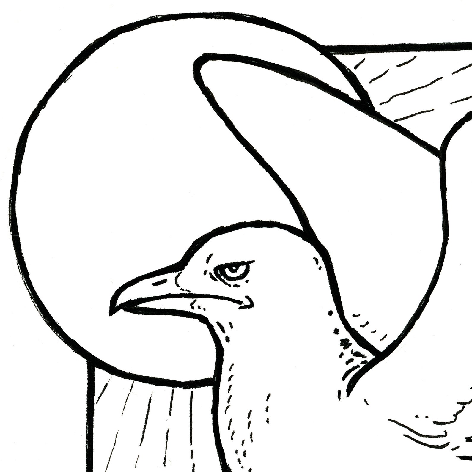 Grumpy Seagull Colouring Page, Printable Colouring Page, Coloring Page ...