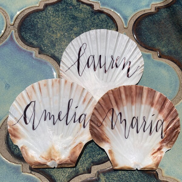 Sea Shell Place Card - Etsy