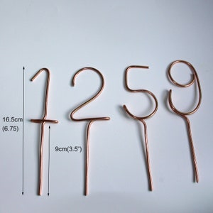 Number Cake Topper Birthday or Anniversary Birthday Cake | Etsy